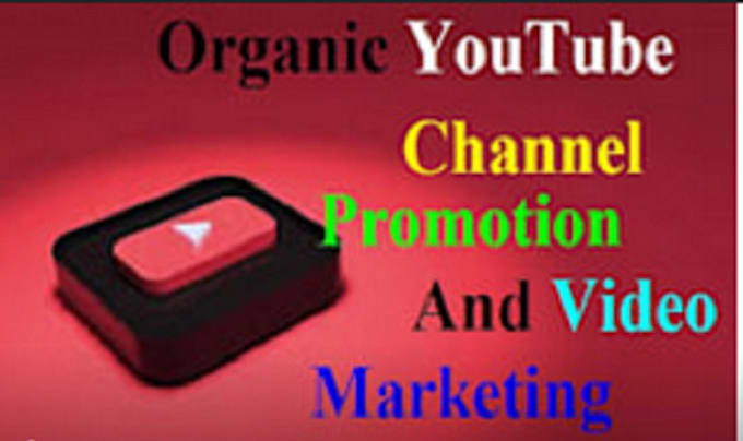 Do organic youtube channel promotion and video marketing by Frank_whit ...