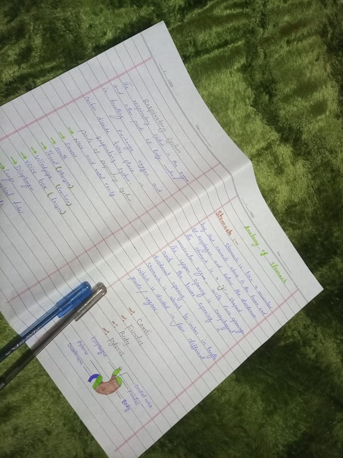 Transcribe handwriting pdf, docs,image to text by Awai1122 | Fiverr