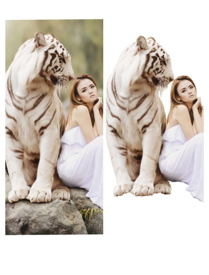 Remove transparent background professionally by Rumaisamir | Fiverr