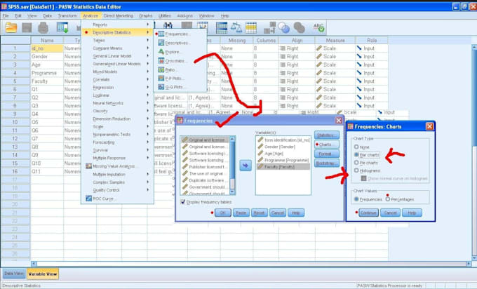 Do spss data analysis by Mulero07 | Fiverr