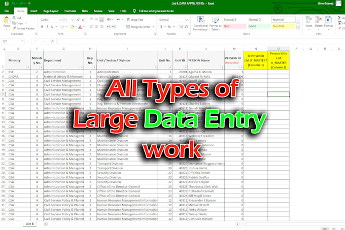 Do a fine data entry of your messy ms excel sheet by Fatmiumar | Fiverr