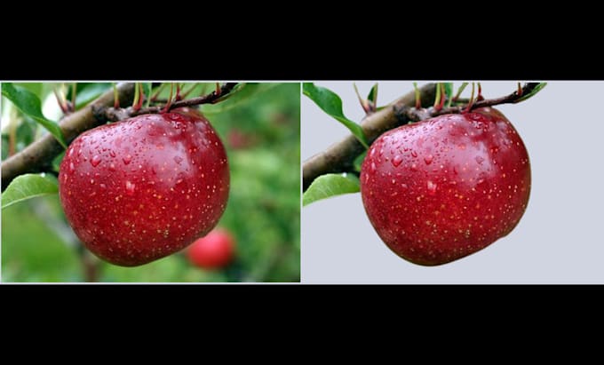 Do bulk crop images, resize images, and background removal by Noelabi ...