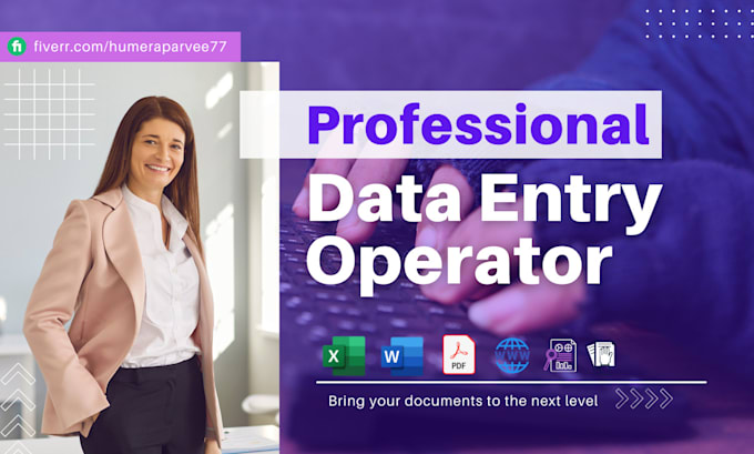 Do excel data entry work as a professional data entry operator by ...