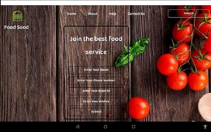 Build a static or dynamic website and webapp by Akibtechnoo | Fiverr