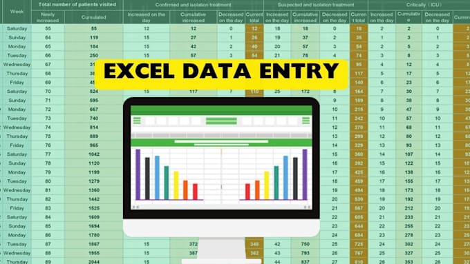 Build excel spreadsheet work by Hassanali8484 | Fiverr