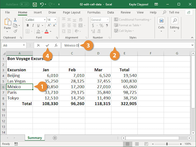 Edit organize export every data in excel by Abdevilyt | Fiverr