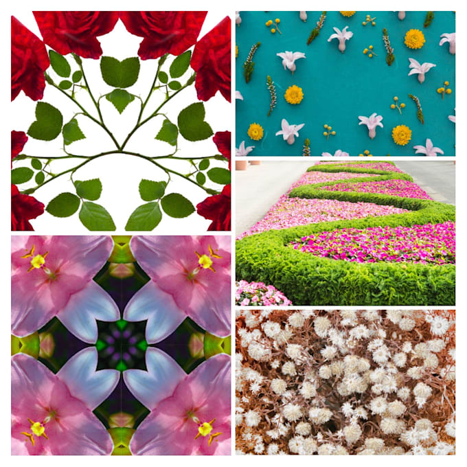 Create patterns design world class pattern design in 4k quality by ...