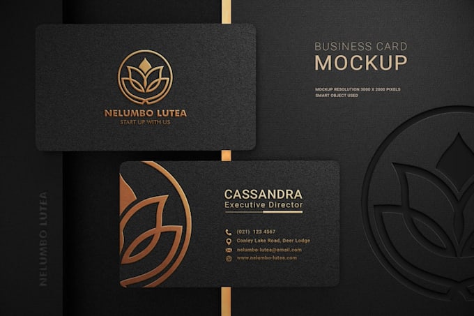 Make creative business and personal card by Sara_49 | Fiverr