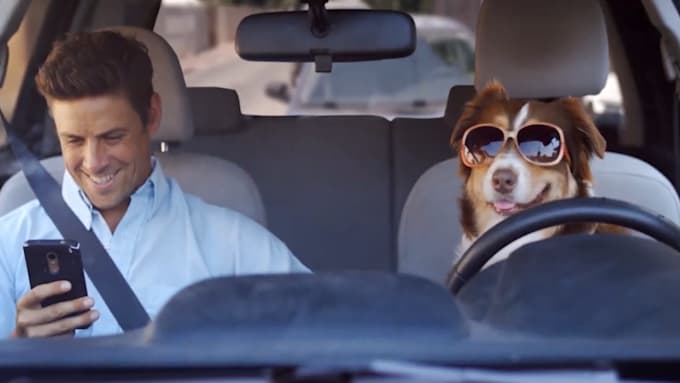 Customize dog promo video ads by Androra1 | Fiverr