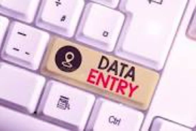 Do Data Entry Web Scraping Copy Paste And Excel Data Entry By 3231