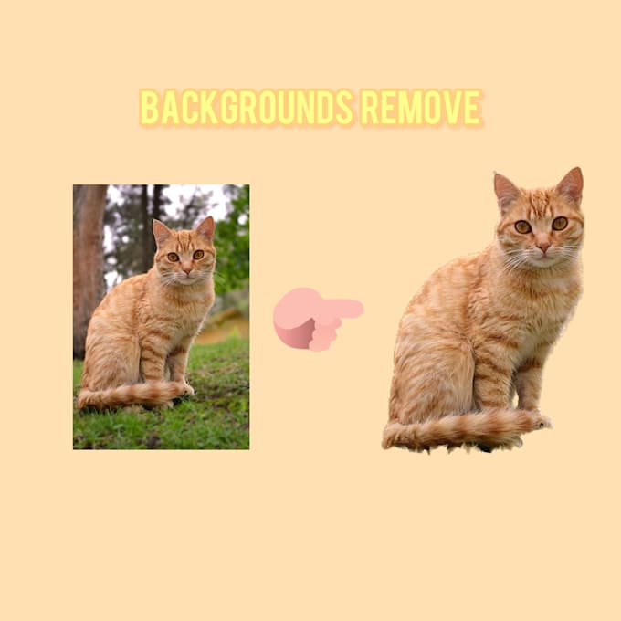 Remove backgrounds from photos by Umbe25 | Fiverr