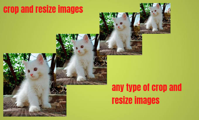 Do resize image,crop image, rename file,image resize,photo crop,photo ... Do resize image,crop image, rename file,image resize,photo crop,photo ...