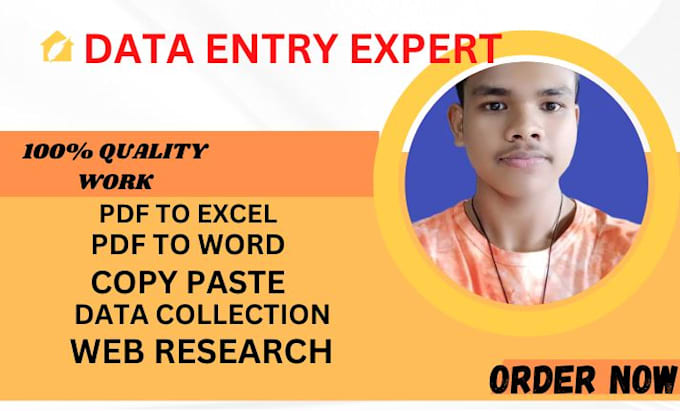 Do excel and google sheet data entry,copy paste,pdf to excel by Ahamedsakib100 | Fiverr