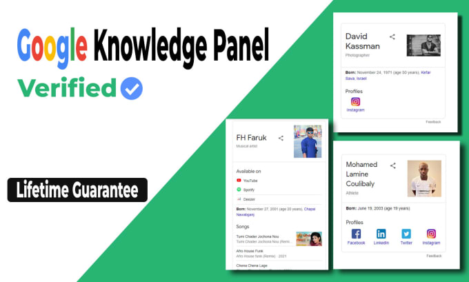 Create a google knowledge panel or graph for any category by Fh_academy ...
