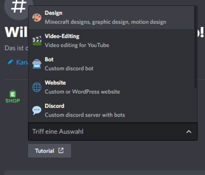 Develope a discord bot by Meerpaluten | Fiverr
