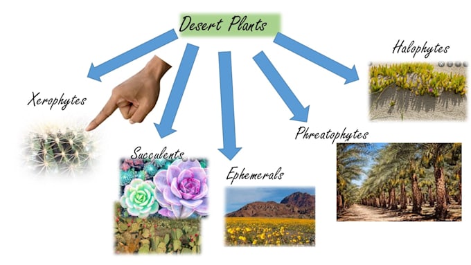 Make a very powerful powerpoint presentation in 24 hours by Munakamwe ...