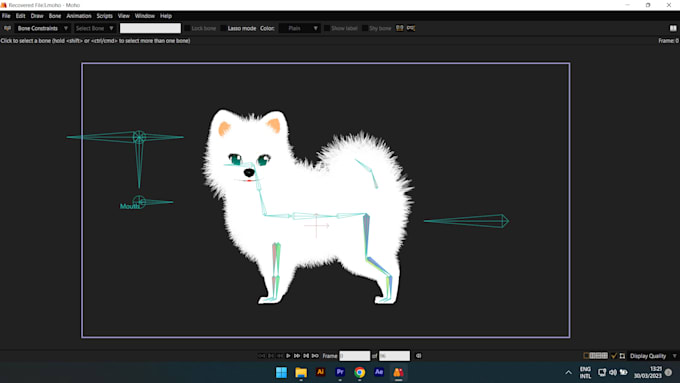 Do character rigging and 360 degree rig in moho by Mark_ezeh | Fiverr