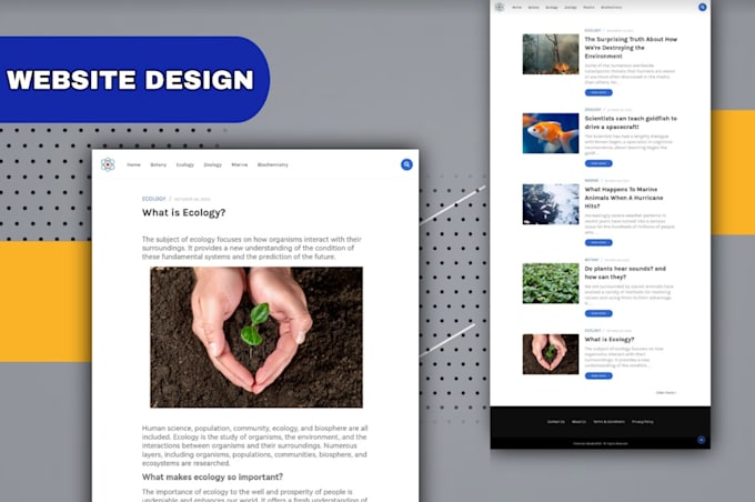 Design and develop a responsive business website by Flazevfx | Fiverr