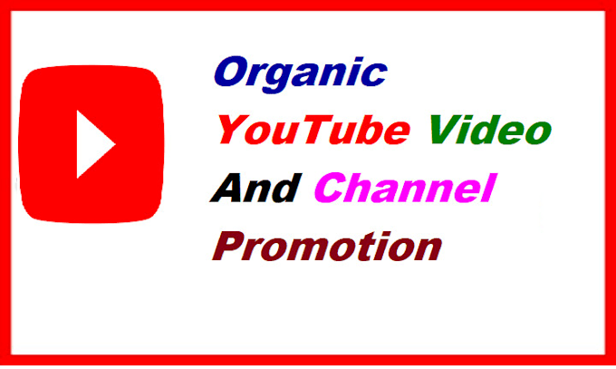 Do organic youtube video and channel promotion by Davi_cook | Fiverr