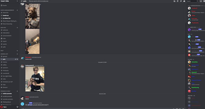 Make you a perfect discord by Trg_shotzfired1 | Fiverr