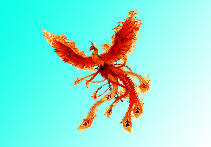 Design outstanding professional phoenix bard mascot logo with express ...