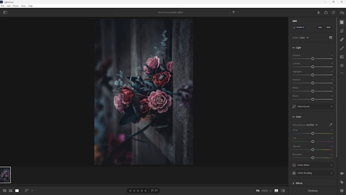 Make your photos look more fabulous by Dulinak0 | Fiverr