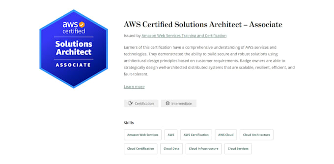 Help you to manage aws infrastructure by Ioanejakhua | Fiverr