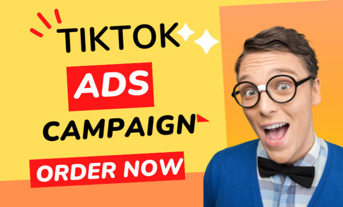 Setup Tiktok Ads And Manage Tik Tok Marketing Campaigns By Debby Jeff