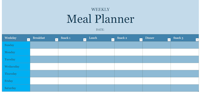 Create a personal meal plan template for you by Henry_burwell | Fiverr