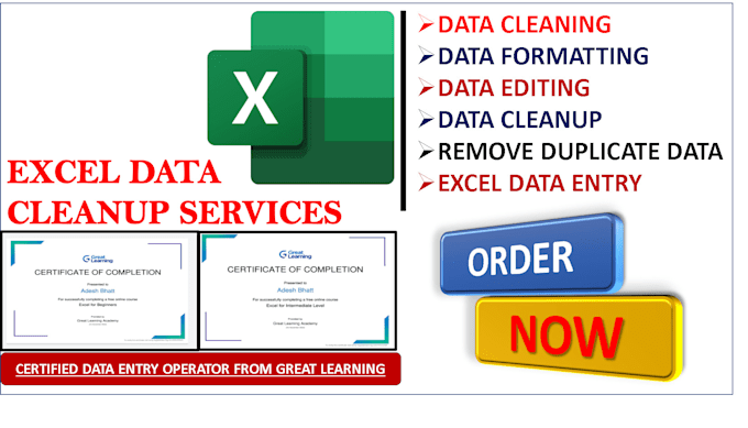 Do excel data cleaning, formatting, editing and removing extra data by Adesh109 | Fiverr