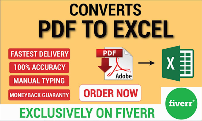 Convert pdf to excel and all files by Eagle_swaraj10 | Fiverr