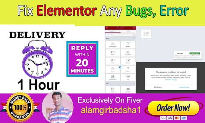 Fix elementor errors, bugs, and design issues within 1 hour by ...