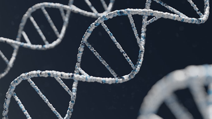 Design and guide your dna cloning experiment by Raphgayet | Fiverr