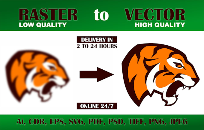 Convert raster logo, image in vector file high resolution ai, cdr, eps ...