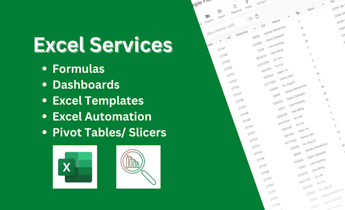 Create google sheet, excel spreadsheet, excel formula, and excel data entry by Hafizyasir129 ...