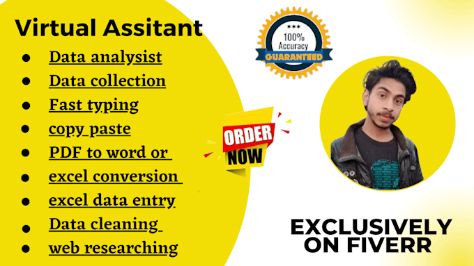 Do Data Formatting And Ms Excel Data Cleaning By Husnainthakur Fiverr