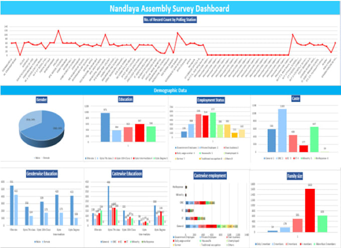 Do detailed data analysis and self descriptive visualization by ...
