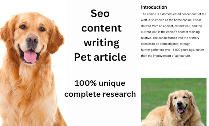 Write pet article for pet blog in 24 hours by Isha_artist | Fiverr