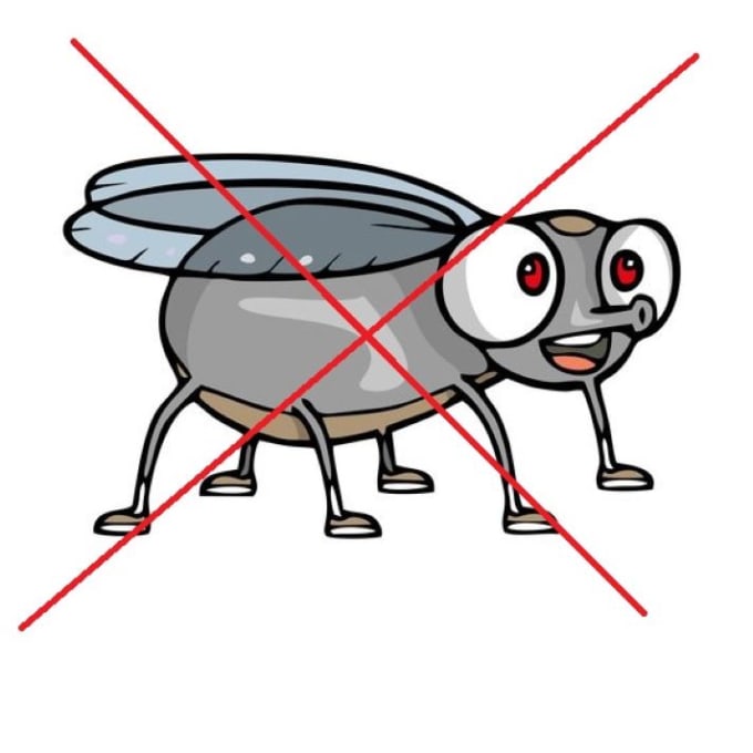 Do Qa Testing For Your Website Or App And Find Bugs By Annabaghdasarya Fiverr