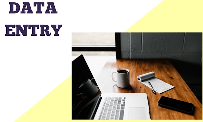 Accurately Input Enter Transcribe Your Data By Kerryk001 Fiverr
