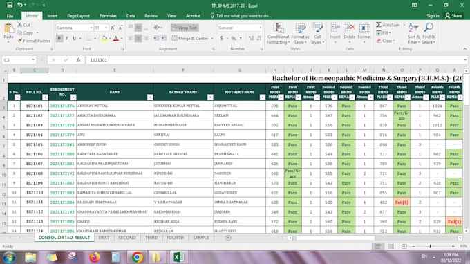 Do on and offline data entry and copy paste in word and excel, typing ...