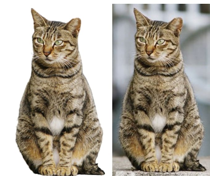 Cut out images background removal professionally by Zking22 | Fiverr