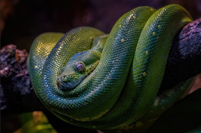 Remove generational curses, black magic, demons, and evil spirits by ...