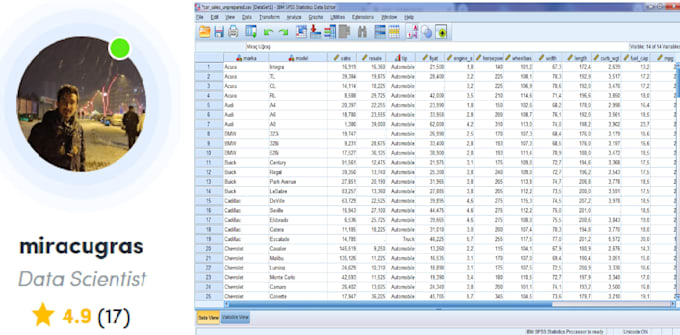 Do data analysis in spss by Miracugras | Fiverr