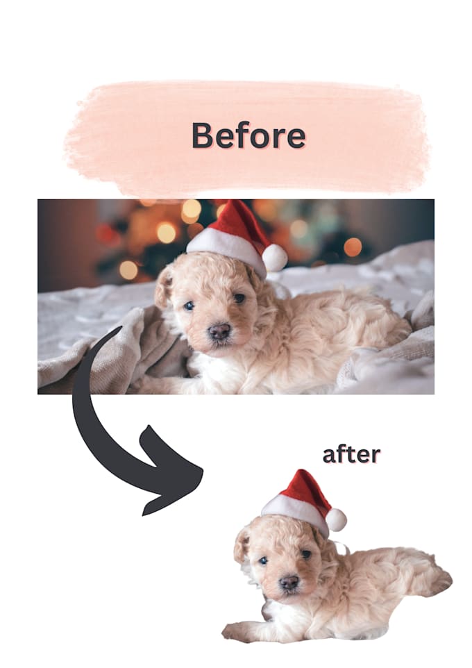 Remove background for an image by Happlabs | Fiverr