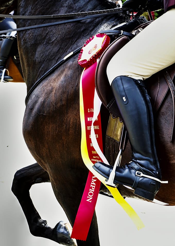 Photograph stunning action photos by Rosadiego912 | Fiverr