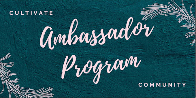 Build your ambassador program from scratch by Abbyadams927 | Fiverr