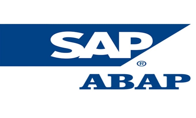 Provide expert abap programming services by Batuhangun | Fiverr