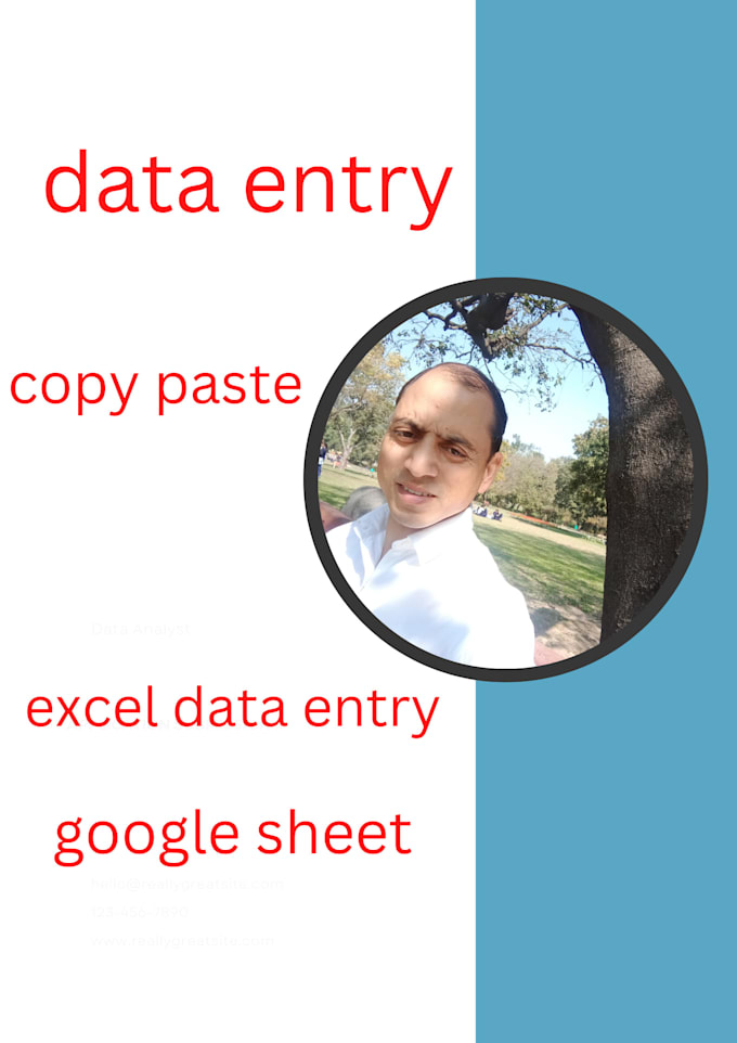 Do excel and google sheet data entry by Krishanbal | Fiverr