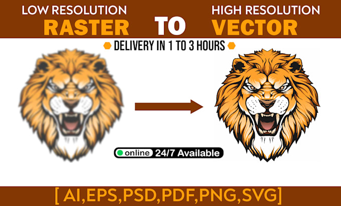 Vector tracing, redraw, recreate, convert raster to vector by Creativeansar | Fiverr